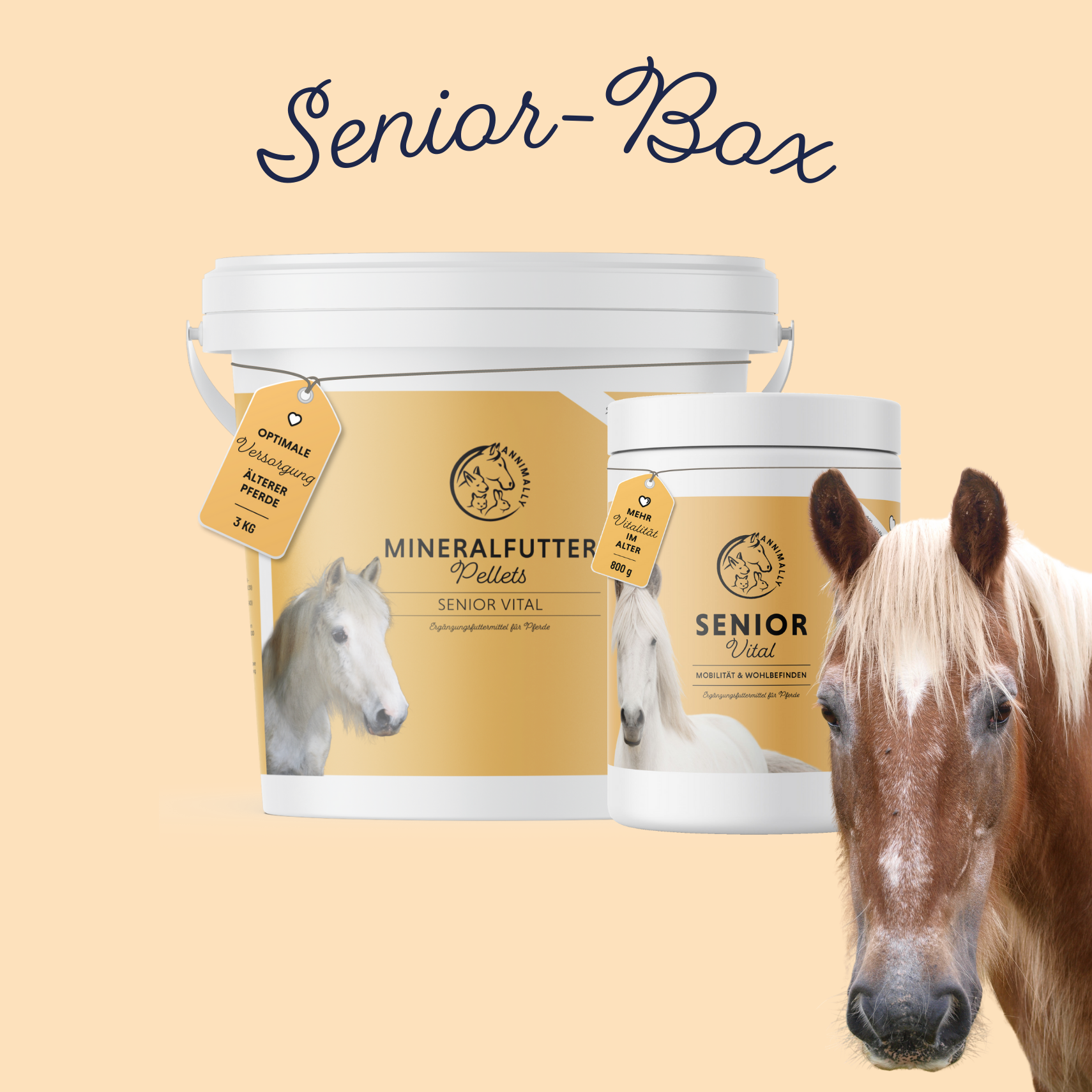 Senior-Box – Annimally
